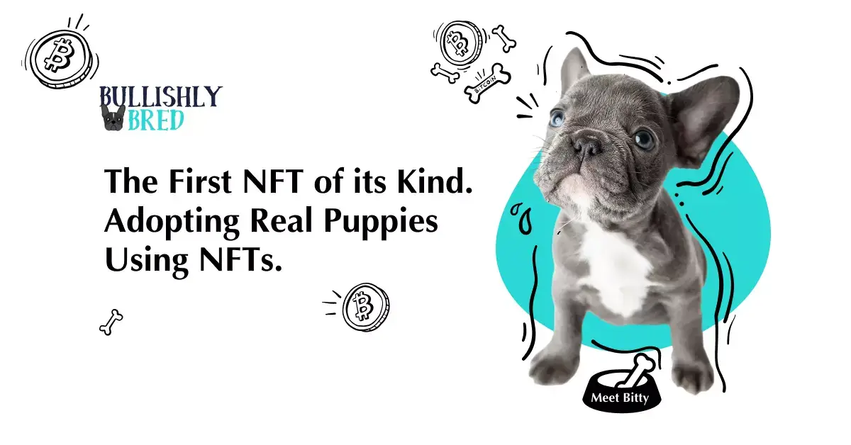 Bullishly Bred Collection: Adopting Real Puppies Using NFTs.